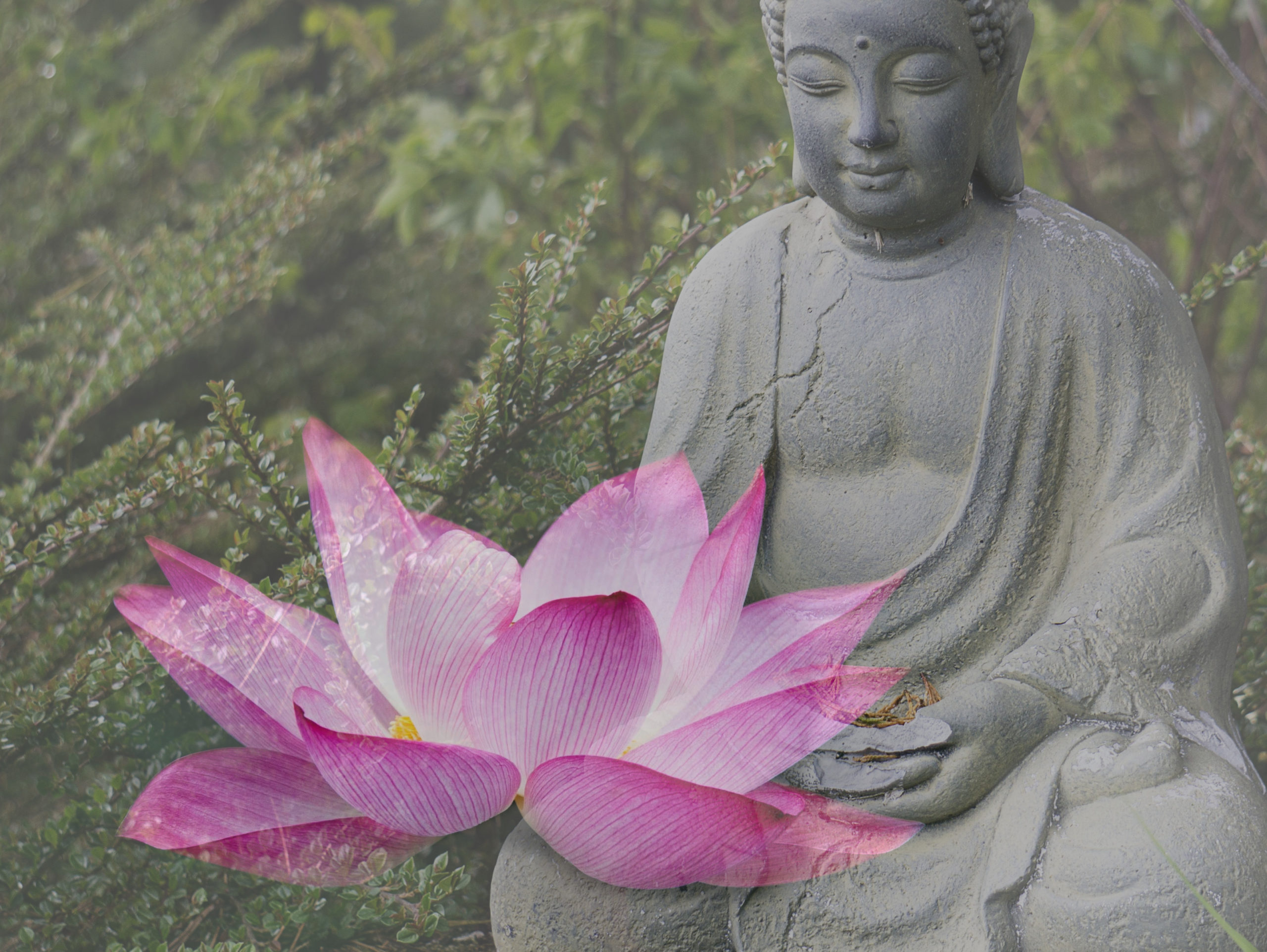 Six sons de guérison - Light - Les Ventres Libres