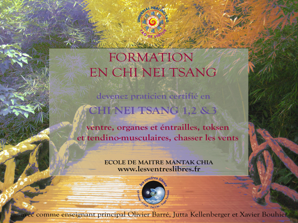 Formation Chi Nei Tsang® - Les Ventres Libres